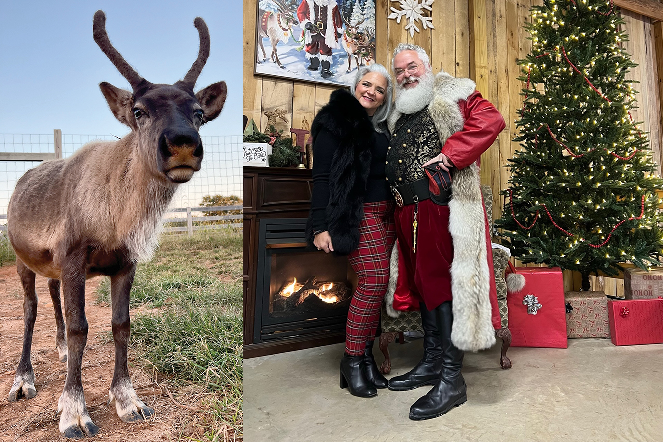 Come see Santa, live reindeer and much more! - SOKY Happenings