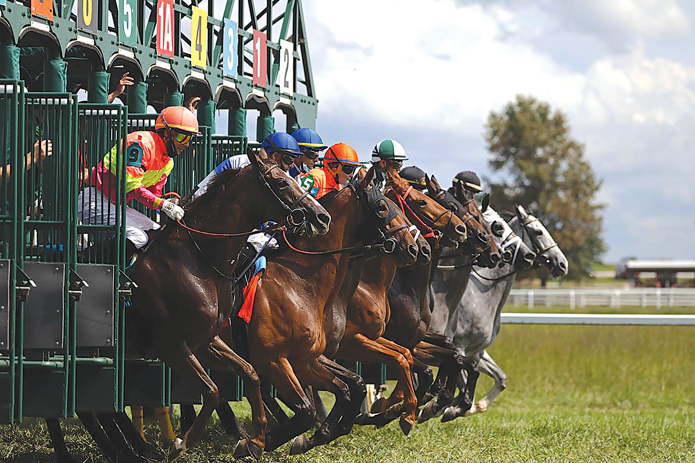 Live horse racing returns to Kentucky Downs this month and next! - SOKY ...